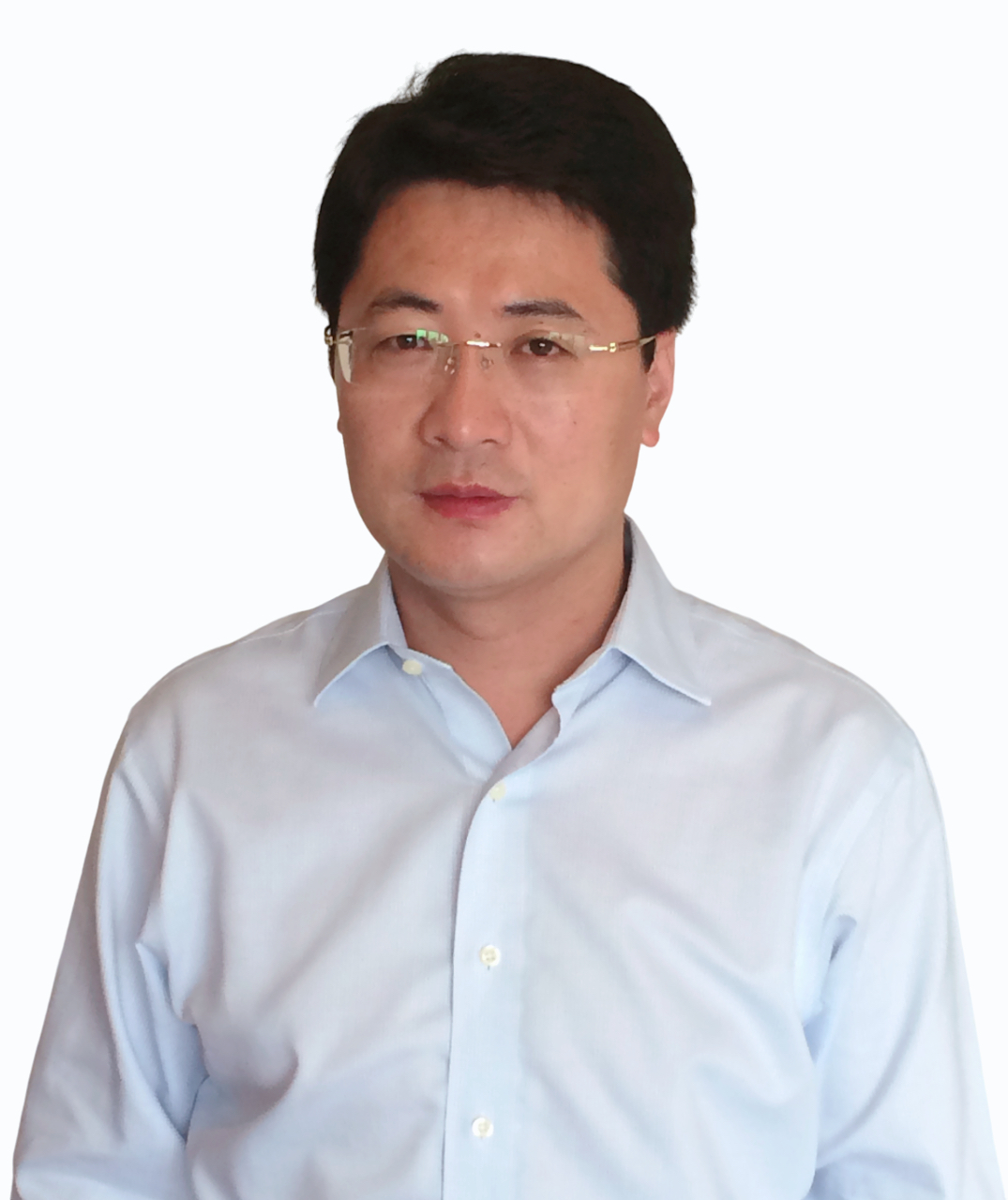 Committees – ipia.site